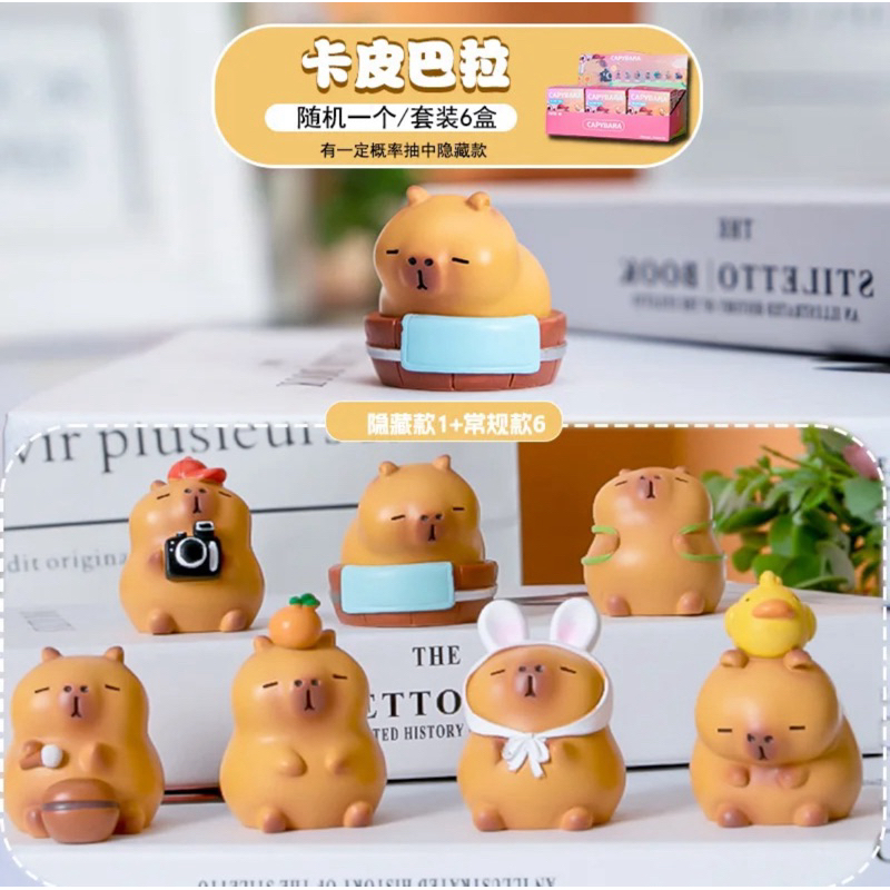 ( พร้อมส่ง/ยกbox ) 🦦 Blindbox : Capybara blind box คาปิบาร่าจมูกบาน ...