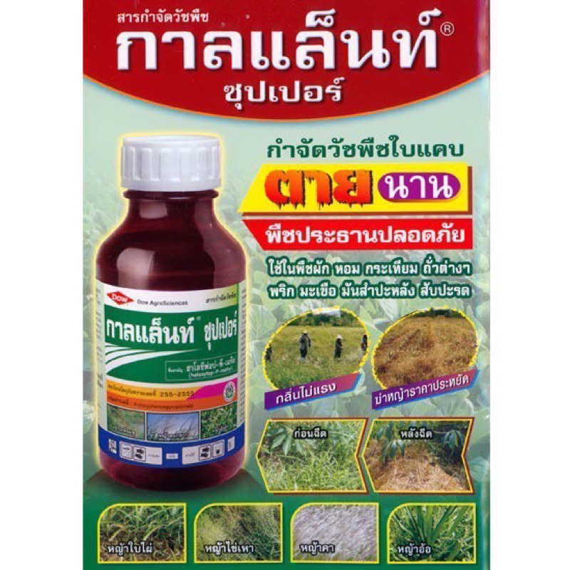 [G] กาลแลนท์ ยากำจัดวัชพืช สารกำจัดวัชพืช ขนาด 100 มล. ยี่ห้อ DOW (ใช้กำจัดวัชพืชใบแคบ) โดย ...
