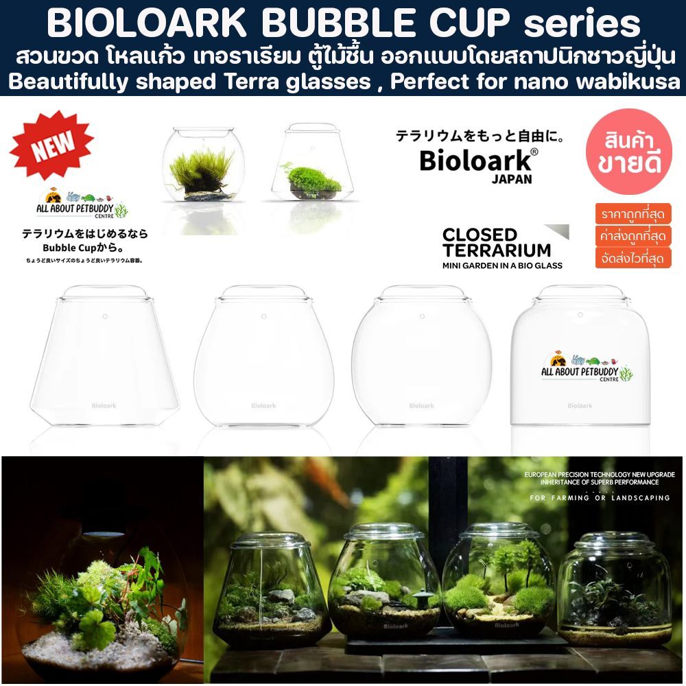 Bioloark Bubble Cup Mini Bio Bottle Terrarium จัดสวนในขวดแก้ว ขวดโดม ...