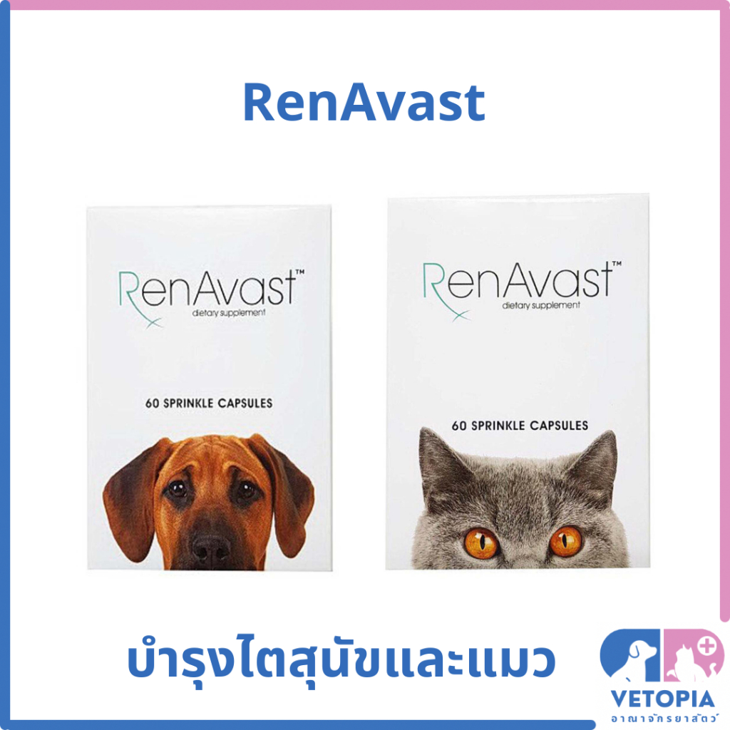 (1 กล่อง = 60 เม็ด) RenAvast วิตามินบำรุงไตสำหรับสุนัขและแมว | Shopee ...