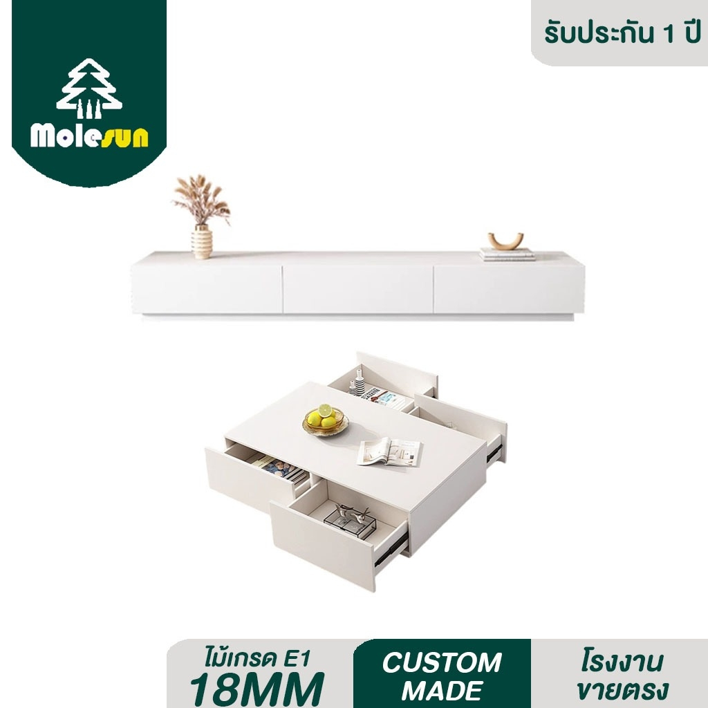 MOLESUN ตู้วางทีวีสไตล์โมเดิร์น ตู้เก็บของ ชั้นวางทีวีติดผนัง เรียบหรู ...