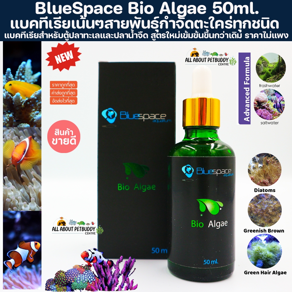 New Formula Bio Algae แบคทีเรียชนิดพิเศษ ที่ช่วยลดการเกิดตะไคร่ทุกชนิด ...
