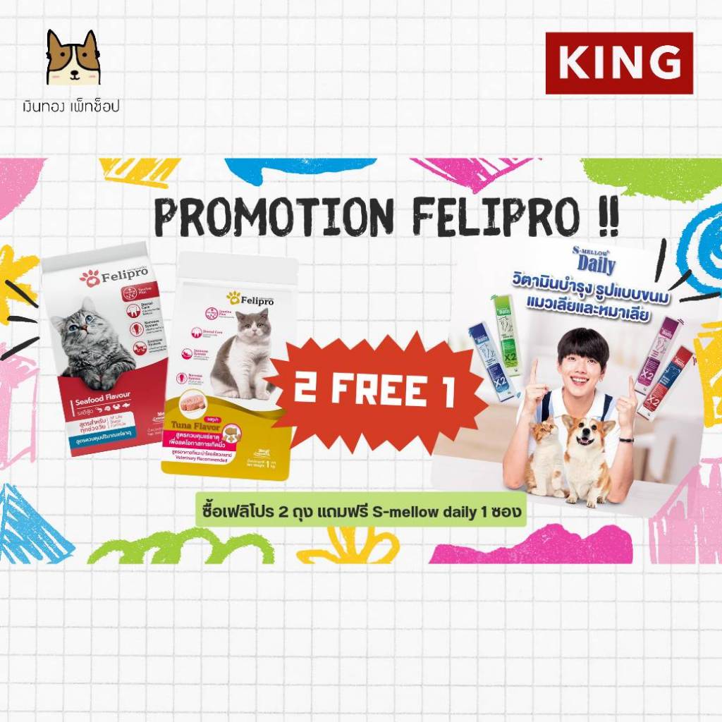 Felipro เฟลิโปร อาหารแมว ป้องกันนิ่ว บำรุงขน ขนาด 1 กิโลกรัม | Shopee ...