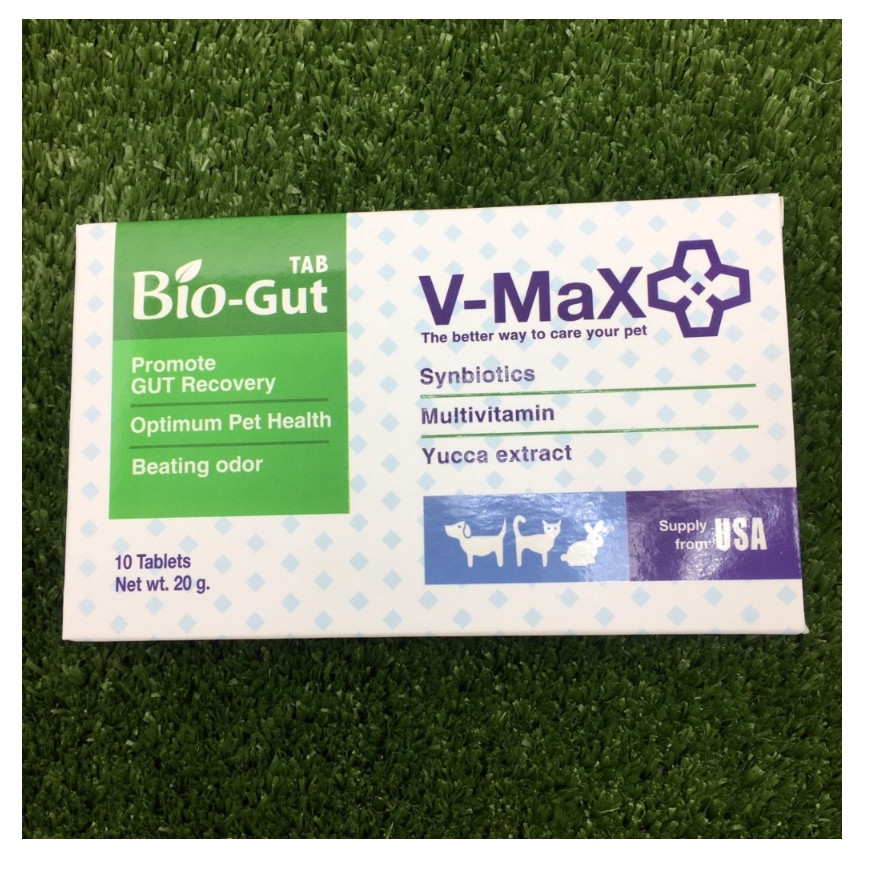 V-Max Bio-Gut ปรับสมดุลในระบบทางเดินอาหาร 10 เม็ด อาหารเสริม biogut ...