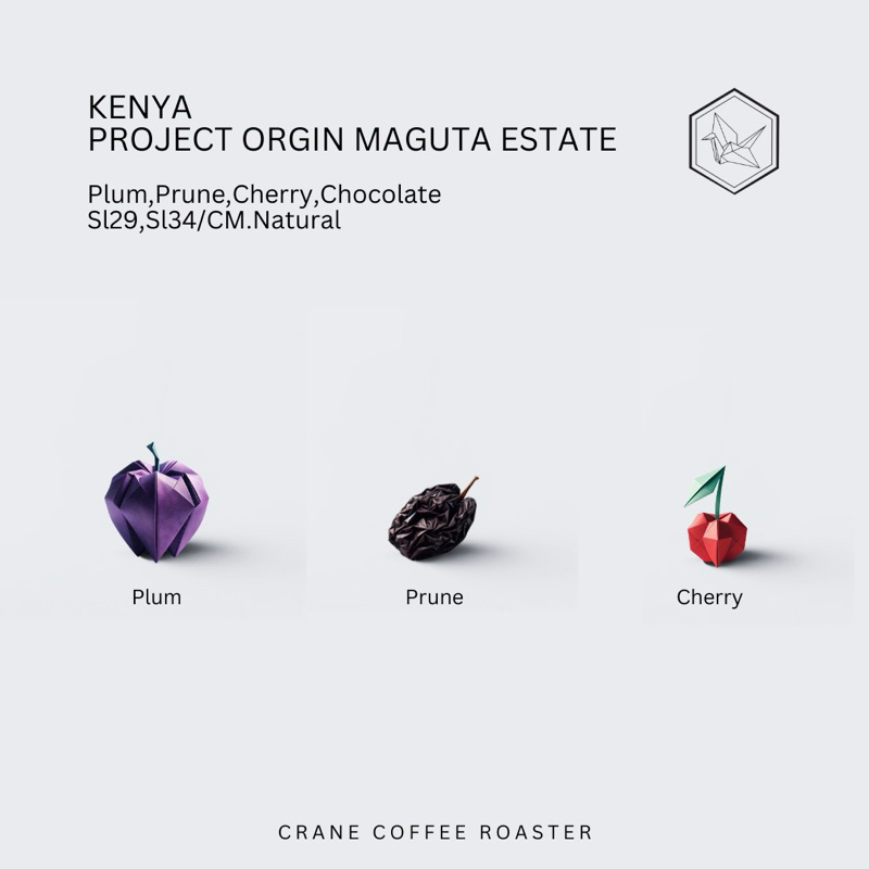 Kenya Project Origin MAGUTA ESTATE Natural Process light roast | Shopee ...