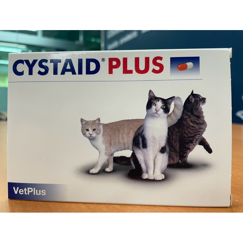 cystaid plus แท้ 💯% 🚩ฉลากไทย🇹🇭 อาหารเสริมสำหรับแมวมีปัญหากระเพาะปัสสาวะ ...