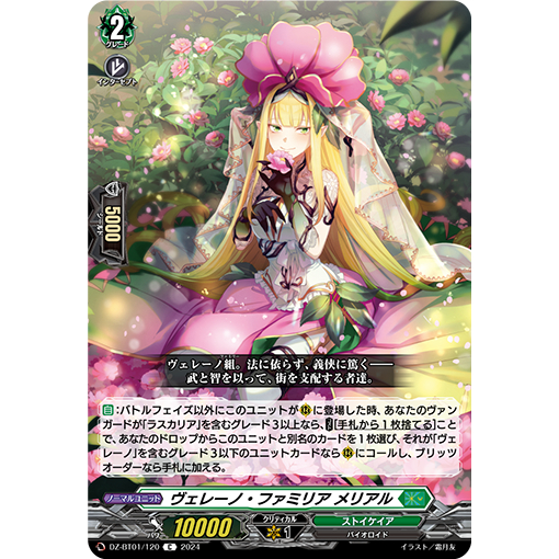 Vanguard(JP) DZ-BT01:Fated Clash Single Card (C) | Shopee Thailand