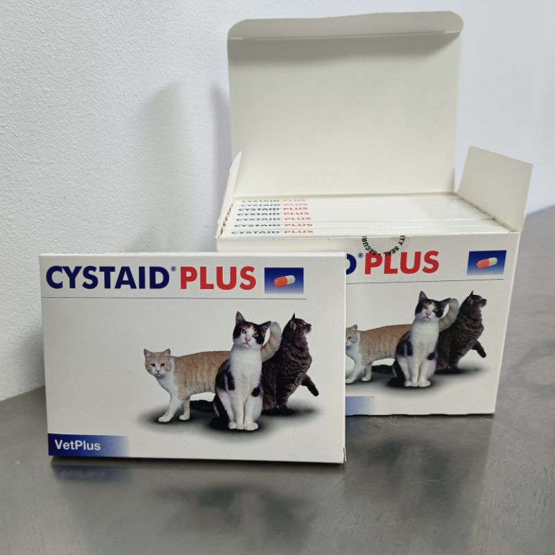 Cystaid plus อาหารเสริมสำหรับน้องแมวที่มีปัญหากระเพาะปัสสาวะอักเสบ ...