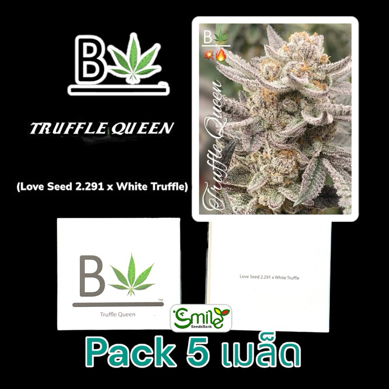 เมล็ดกัญชา Truffle Queen (Fem) - Beleaf Seeds | Shopee Thailand