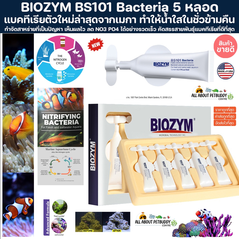 BIOZYM BS101 Bacteria 5ml X 5 หลอด แบคทีเรีย Bac ตัวใหม่ล่าสุดจากเมกา ...