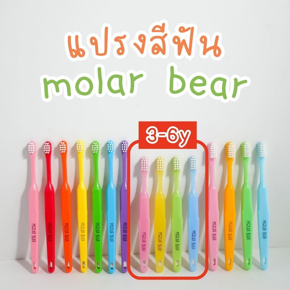แปรงสีฟัน Molar Bear สำหรับ 3-6 ขวบ+ | Shopee Thailand