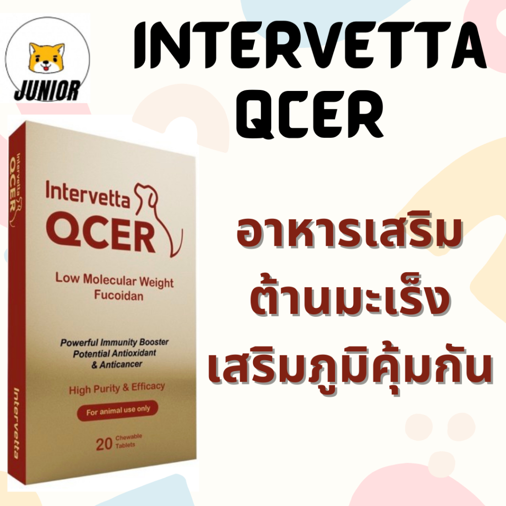 QCER อาหารเสริมต้านมะเร็ง เสริมภูมิคุ้มกัน แบ่งขายยกแผง10เม็ด/ยกกล่อง20เม็ด | Shopee Thailand