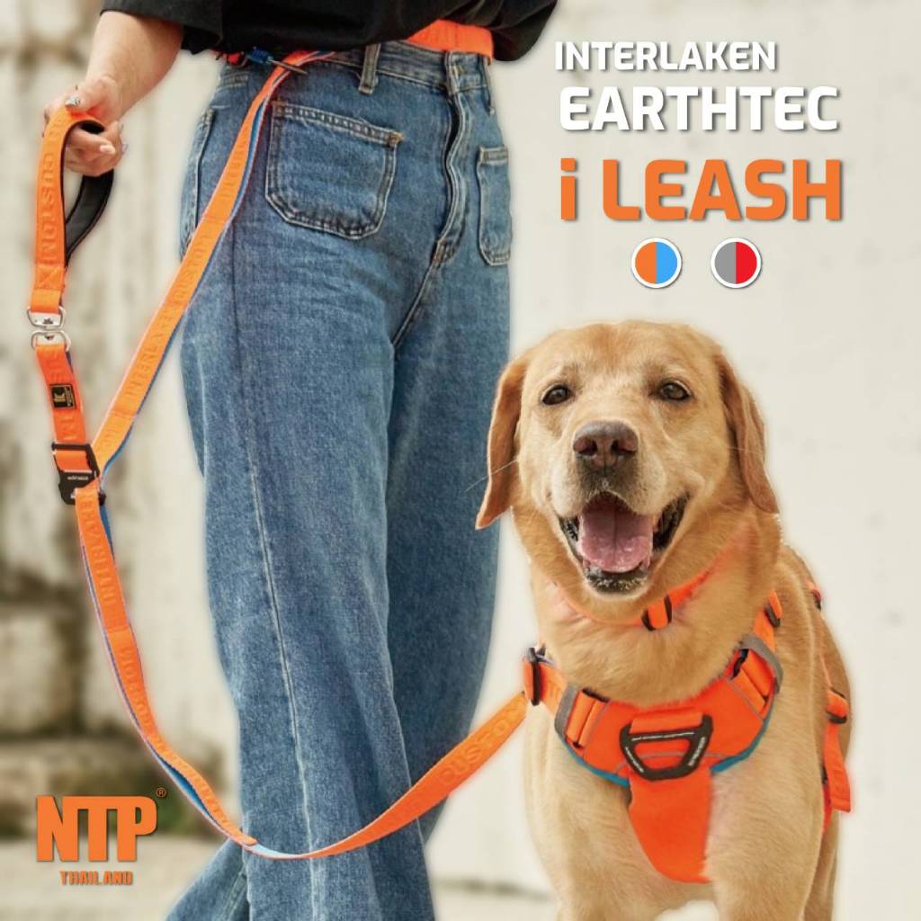 NTP-สายจูงสุนัข Earthtec ileash | Shopee Thailand
