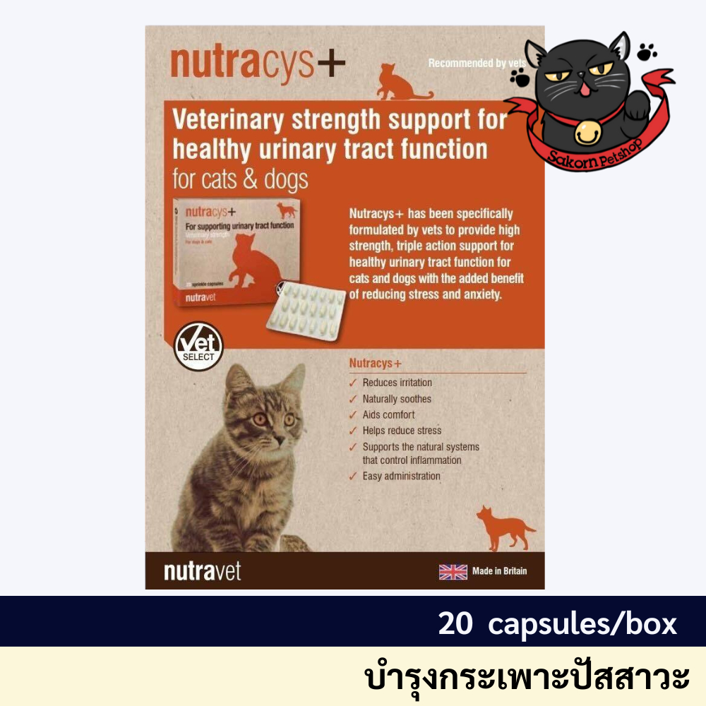 Nutracys+ 20 capsules/box อาหารเสริมบำรุงกระเพาะปัสสาวะ สำหรับสุนัขและ ...