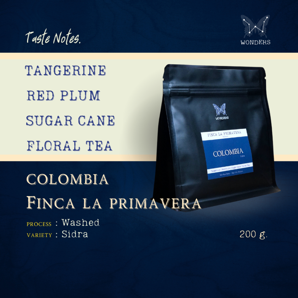 เมล็ดกาแฟ Colombia Finca La Primavera Sidra [200g.120g] อราบิก้า100% ...