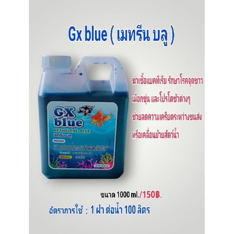 Gx blue (เมทรีน บลู) จุดขาว เมือกขุ่น ช่วยลดความเครียดระหว่างขนส่ง ...