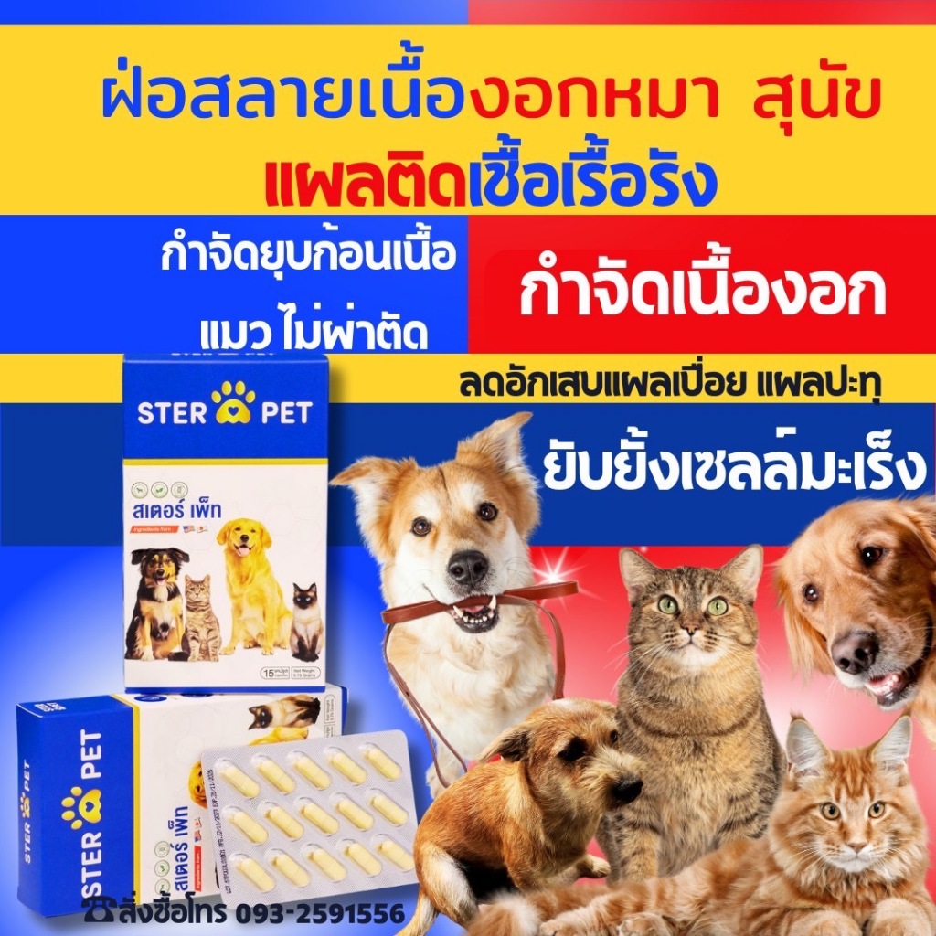 Ster pet เนื้องอกน้องหมาแมว ขายดีอันดับ1 | Shopee Thailand
