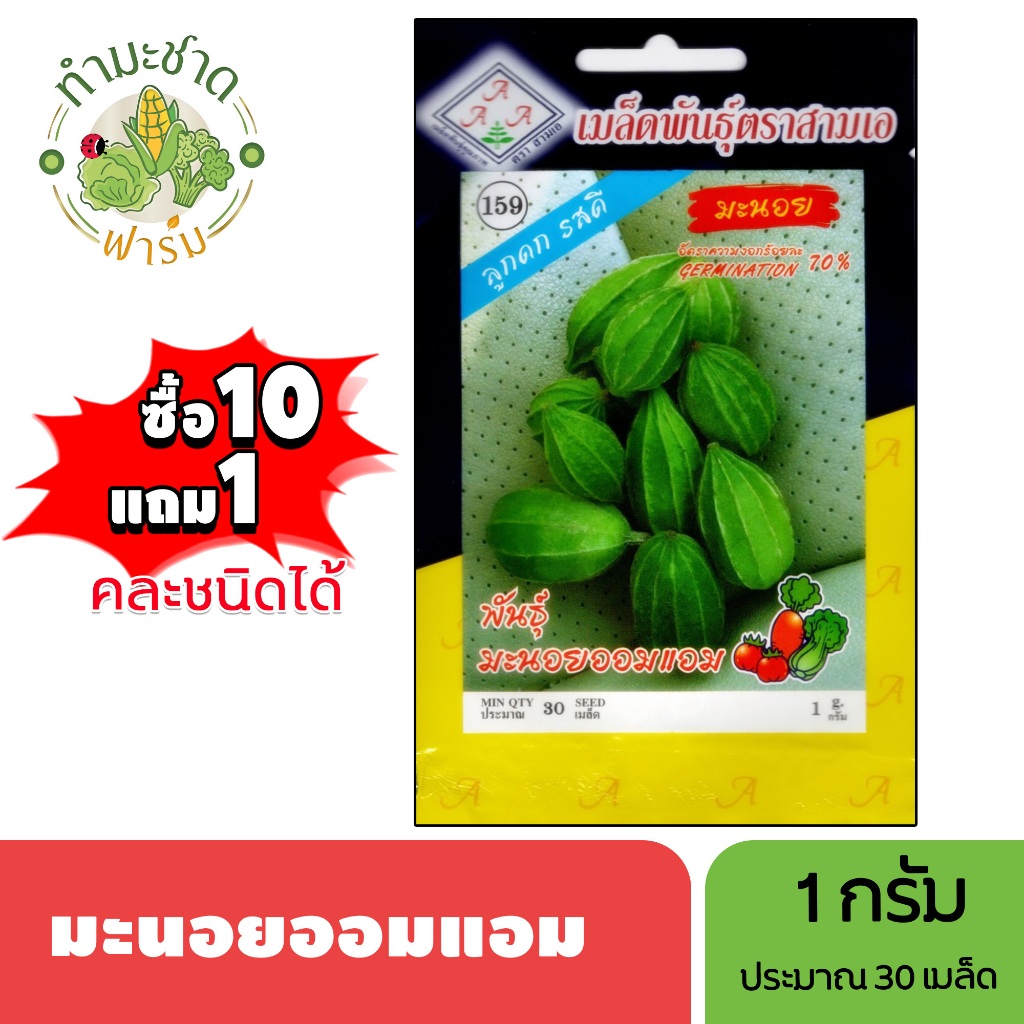 3A (ซื้อ10แถม1) เมล็ดพันธุ์ มะนอย ออมแอม ขนาด 1 กรัม ประมาณ 30 เมล็ด ...