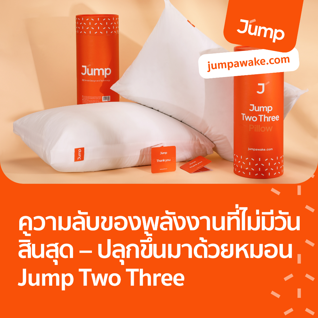 (จำนวน 5 ใบ) หมอน JUMP TWO THREE หมอนใยไหมแท้ ดีไซน์หมอนซ่อนหมอน ...