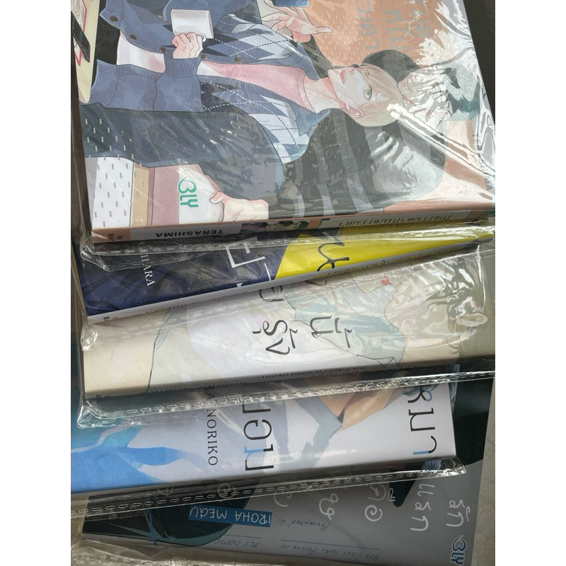 มังงะวาย bly บงกช มือ 2 | Shopee Thailand