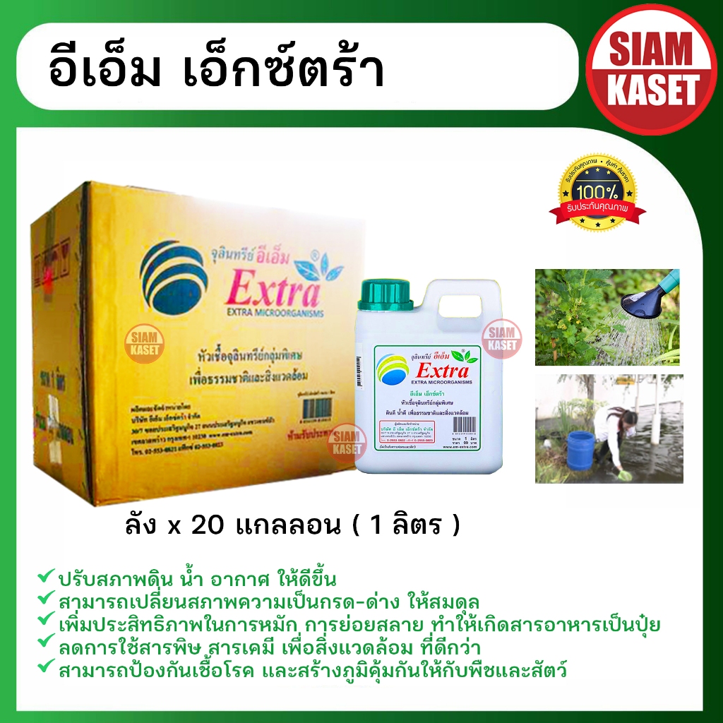 อีเอ็ม เอ็กซ์ตร้า EM Extra หัวเชื้อจุลินทรีย์กลุ่มพิเศษ 1 ลิตร (ลังx20) | Shopee Thailand