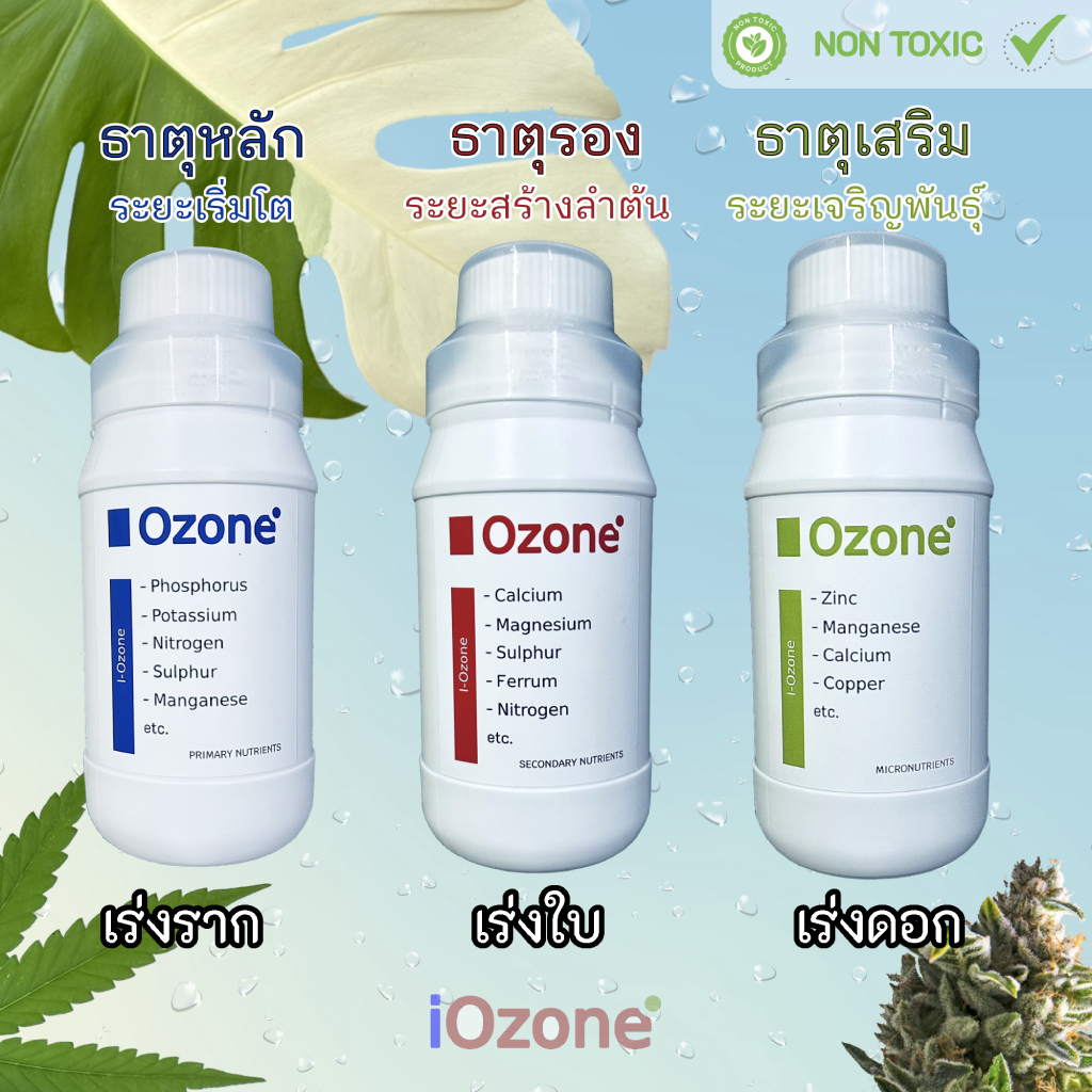 ปุ๋ย iOzone ชนิดดูดซึมทันที เร่งราก เร่งใบ เร่งดอก เร่งผล ปุ๋ยจบดอก ครบจบทุกธาตุที่พืชต้องการ ...