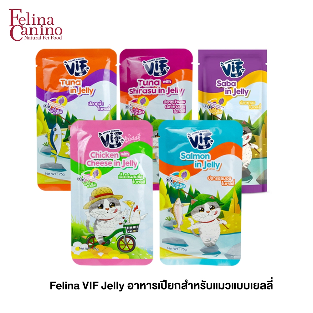 Felina Canino VIF Cat Adult Jelly อาหารเปียกสำหรับแมวแบบเยลลี่ สำหรับแมวอายุ 6 เดือนขึ้นไป (75g ...