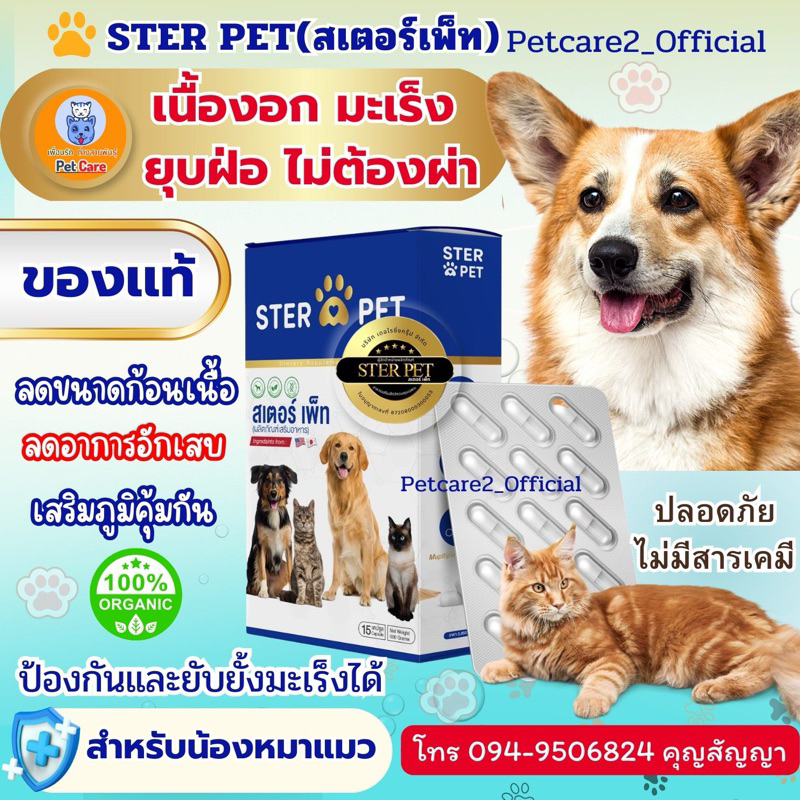 Ster Pet (ของแท้) 🌟 จากร้าน Petcare2 ดูแลสุขภาพน้องหมาแมว เนื้องอก ...