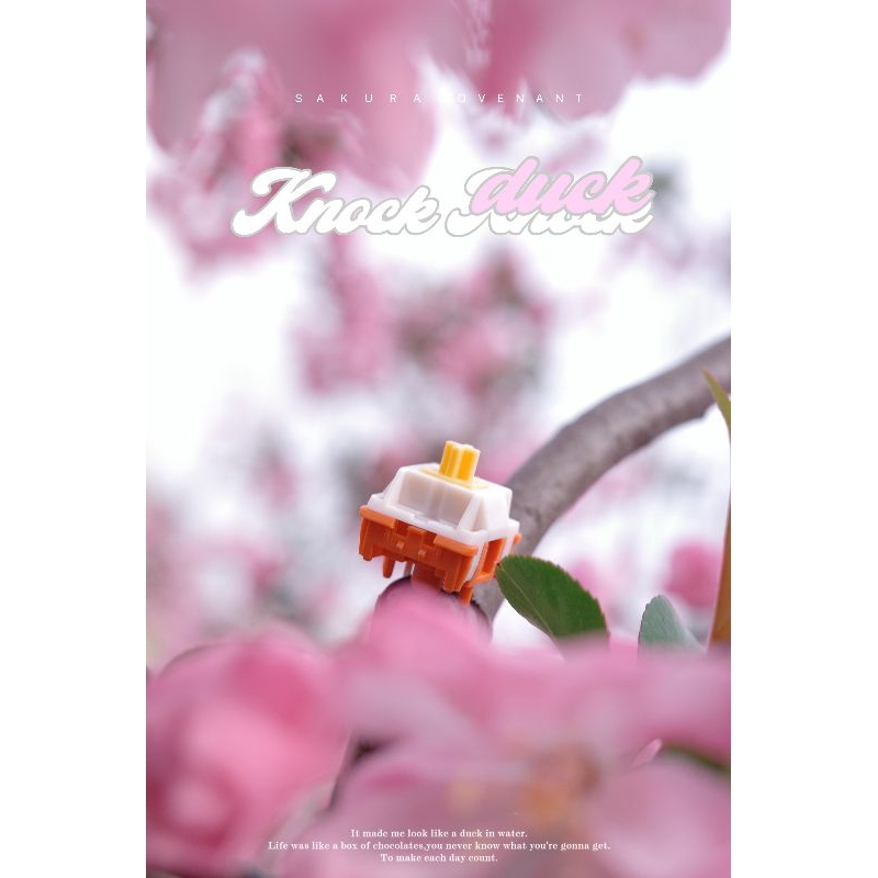 HMX Sunset Gleam linear switch (10ชิ้น) pre lubed สวิตช์คีย์บอร์ด 1 ...