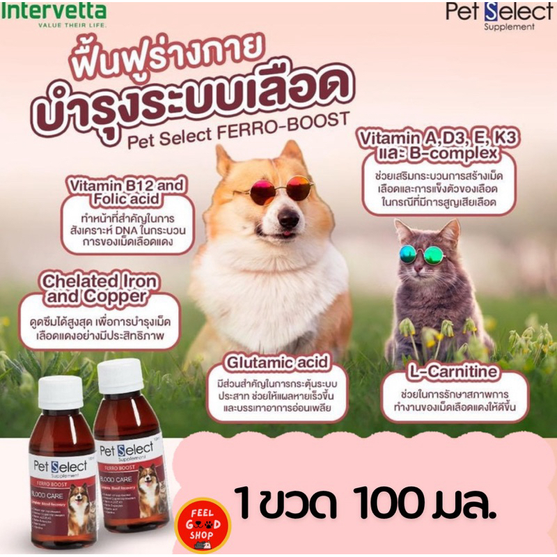 (( 1 ขวด)) Pet select Ferro Boost 100 มล. Exp.10/2025 วิตามิน บำรุง ...