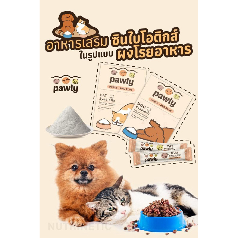 Pawly Pro plus Synbiotic ผงพรีไบโอติกและโปรไบโอติก สำหรับแมว สุนัข 1 กล่อง 12 ซอง น้ำหนักสุทธิ ...