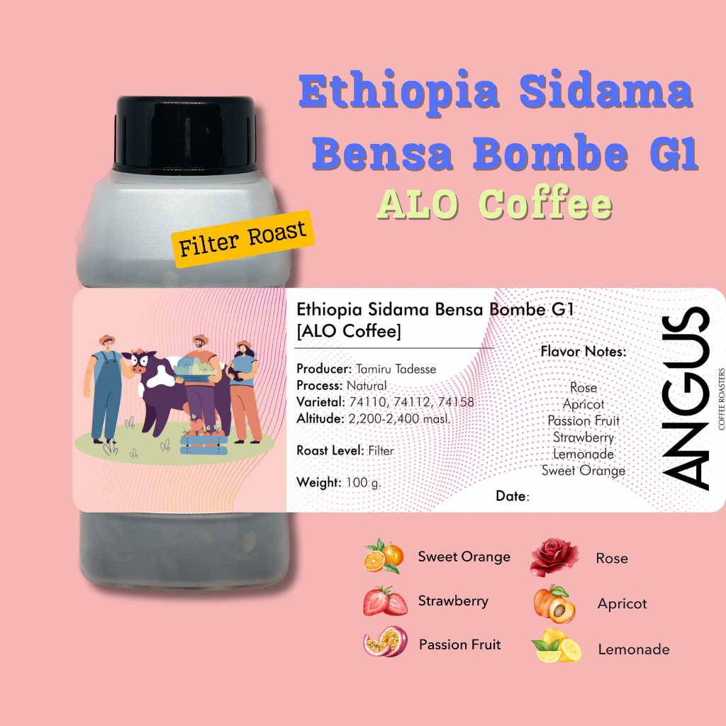 Angus Coffee Roasters เมล็ดกาแฟคั่ว Filter- Ethiopia Sidama Bensa Bombe G1 (ALO Coffee) | Shopee ...