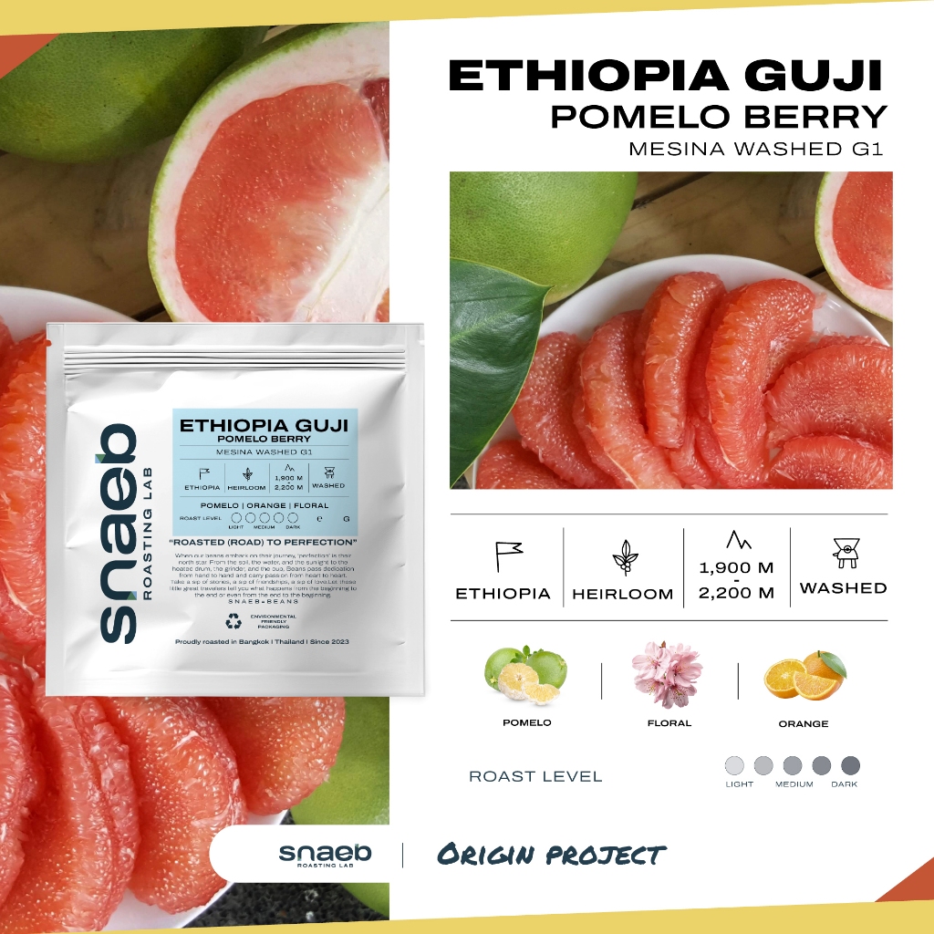 Ethiopia Guji Mesina Pomelo Berry Washed G1 | เมล็ดกาแฟคั่ว คั่วอ่อน Snaeb Coffee | Shopee Thailand