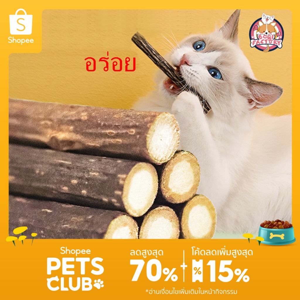 Boqi Factory ไม้มาทาทาบิ ออร์แกนิค ช่วยขัดฟัน ปลอดภัย 100% ช่วยทำให้แมว ...