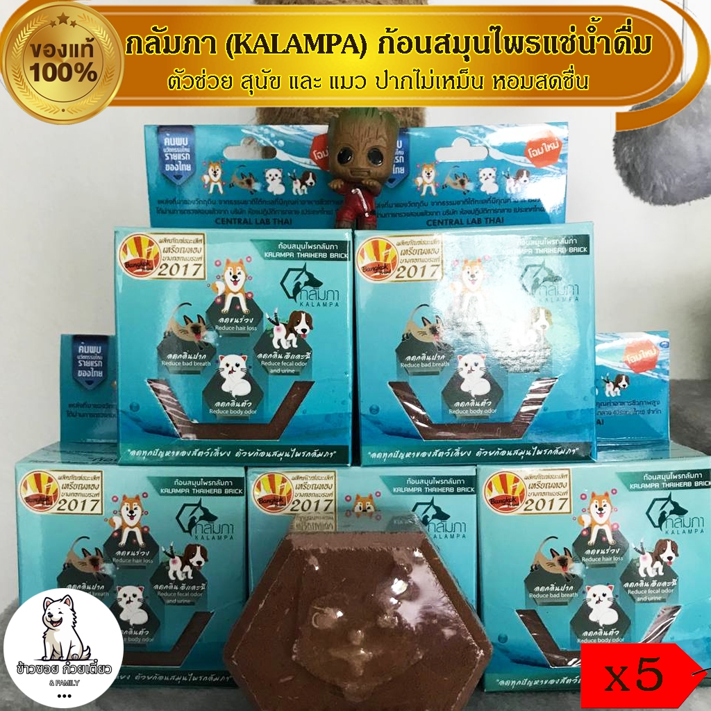 กลัมภา (KALAMPA) ก้อนสมุนไพรแช่น้ำดื่มสำหรับสุนัข และ แมว แพค5 | Shopee ...