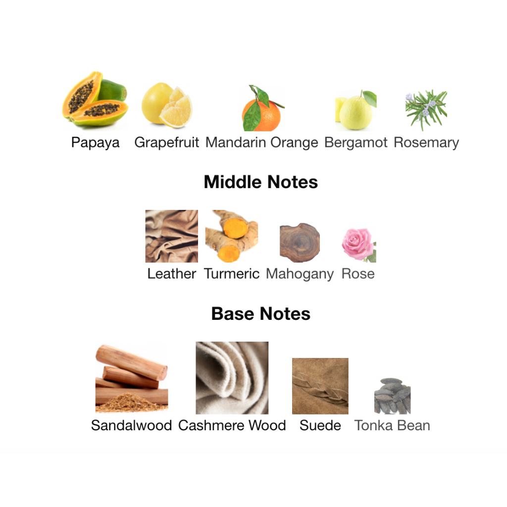 ณา narperfume ดีกว่า edp. 3 เท่า 30 ml. แถม 3 ml. 3 ขวด | Shopee Thailand