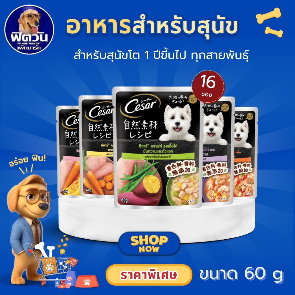 Cesar Craft อาหารเปียกสุนัข ชนิดซอง 60กรัม (1กล่อง x 16 ซอง){อาหารเปียก ...