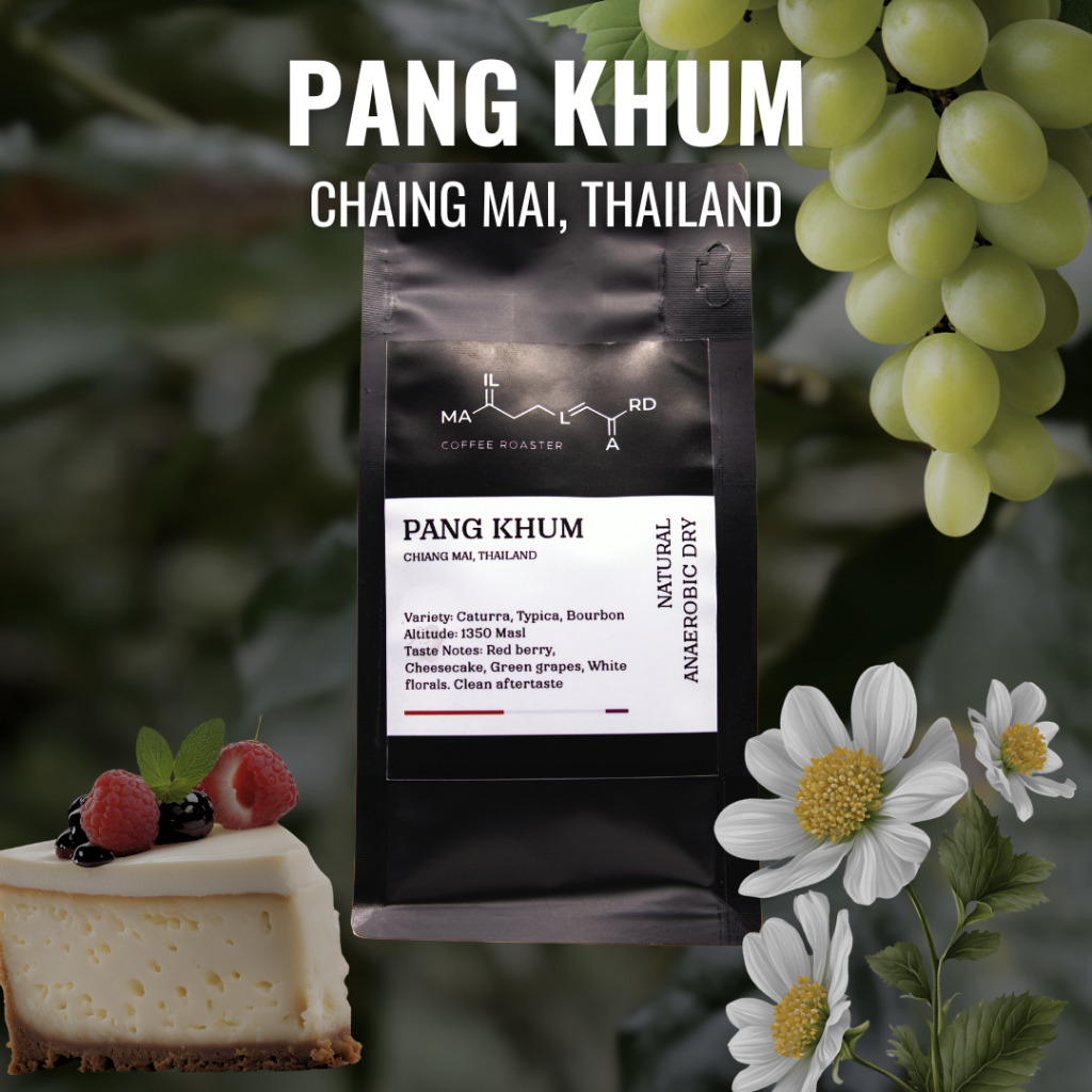 Maillard Coffee Roaster เมล็ดกาแฟคั่ว ปางขุม Pang Khum Chiang Mai (คั่ว ...