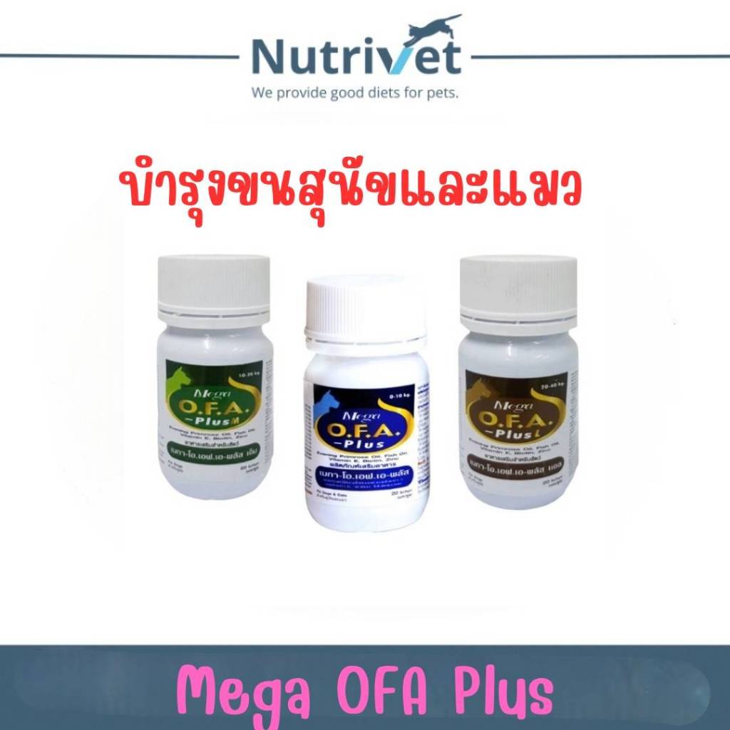 Mega OFA Plus อาหารเสริมบำรุงขน สุนัข และ แมว 20 แคปซูล และ 60 แคปซูล ...
