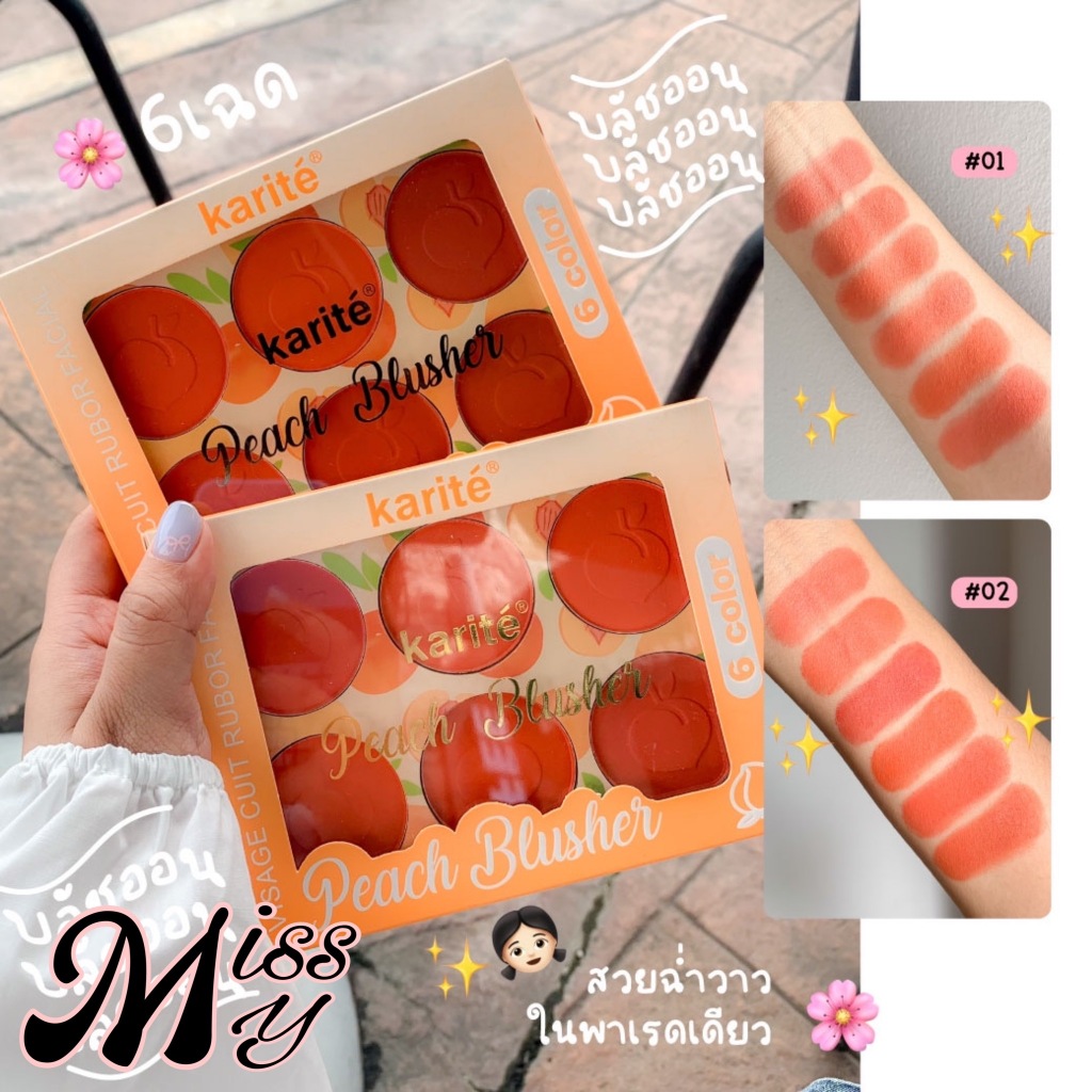Karite 6in1 Peach Matte Color Blusher Set บลัชออนเนื้อแมทต์ เฉดสีพีช ...