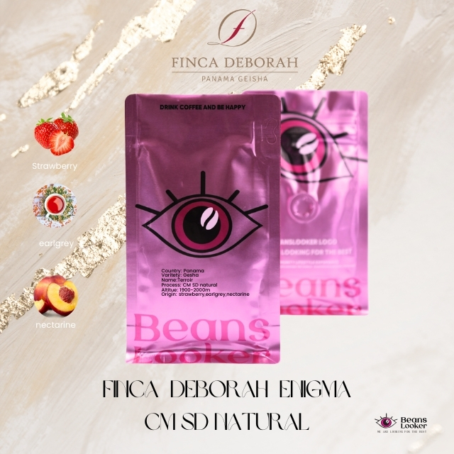 Finca deborah enigma gesha (CM SD natural) | Shopee Thailand