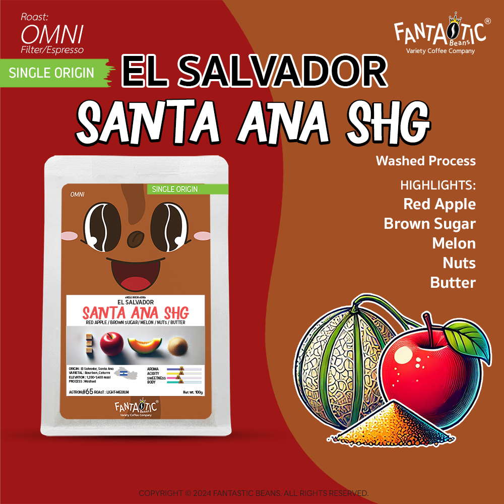 เมล็ดกาแฟ El Salvador Santa Ana SHG 100g คั่วอ่อนกลาง FANTASTIC Beans Variety Coffee Company ...