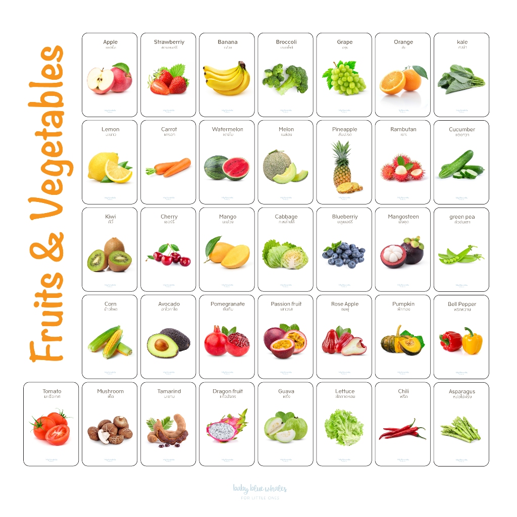 Flash card for Little Gallery & Little Album (แฟลชการ์ดสำหรับชุด Little ...