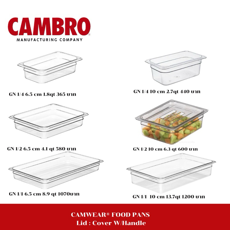 Cambro Food Pan and Lid กล่องบรรจุอาหาร โพลีคาร์บอนเนต ทรงสีเหลี่ยม ...