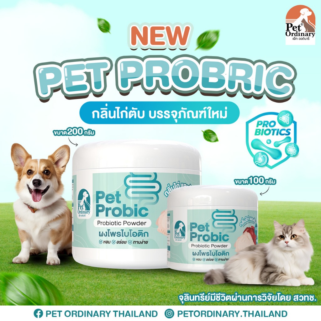 Pet Ordinary Pet Probic [แพคเกจใหม่] ผงโพรไบโอติกสุนัข ผงโพรไบโอติกแมว ...