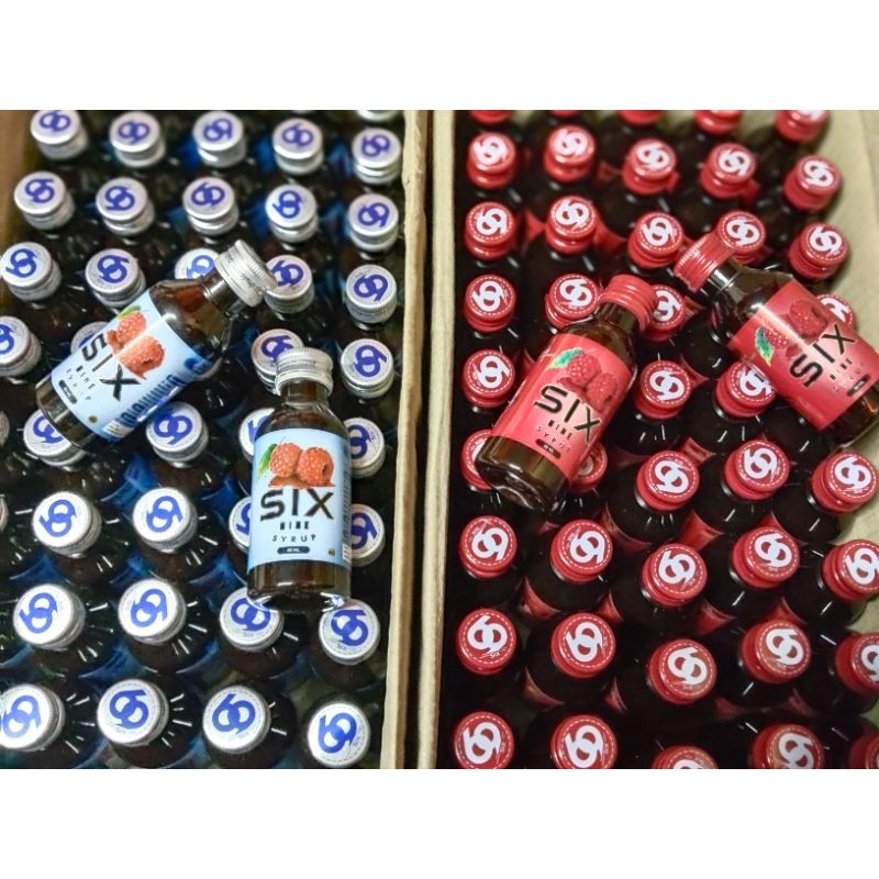 Six-nine-(ซิกไนน์) syrup น้ำเชื่อมหวานหอม | Shopee Thailand