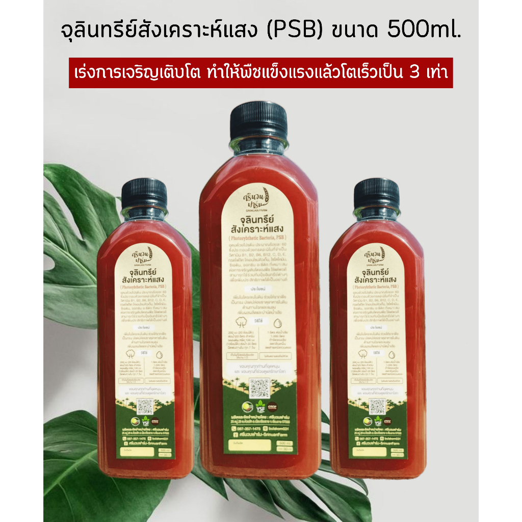จุลินทรีย์สังเคราะห์แสง PSB ขวด 500 ml. คุณภาพสูง เห็นผลจริง สูตรเข้มข้น หัวเชื้อแท้ 100% เร่ง ...
