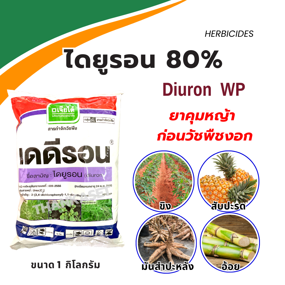 ไดยูรอน 80 เจียไต๋ Diuron สารกำจัดวัชพืช ประเภทใบแคบ ใบกว้าง ใน มัน ...