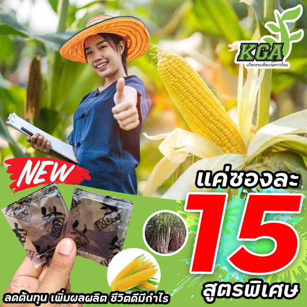 ผงดำ KGA นวัตกรรมเกษตรกรไทย ซองละ15 | Shopee Thailand
