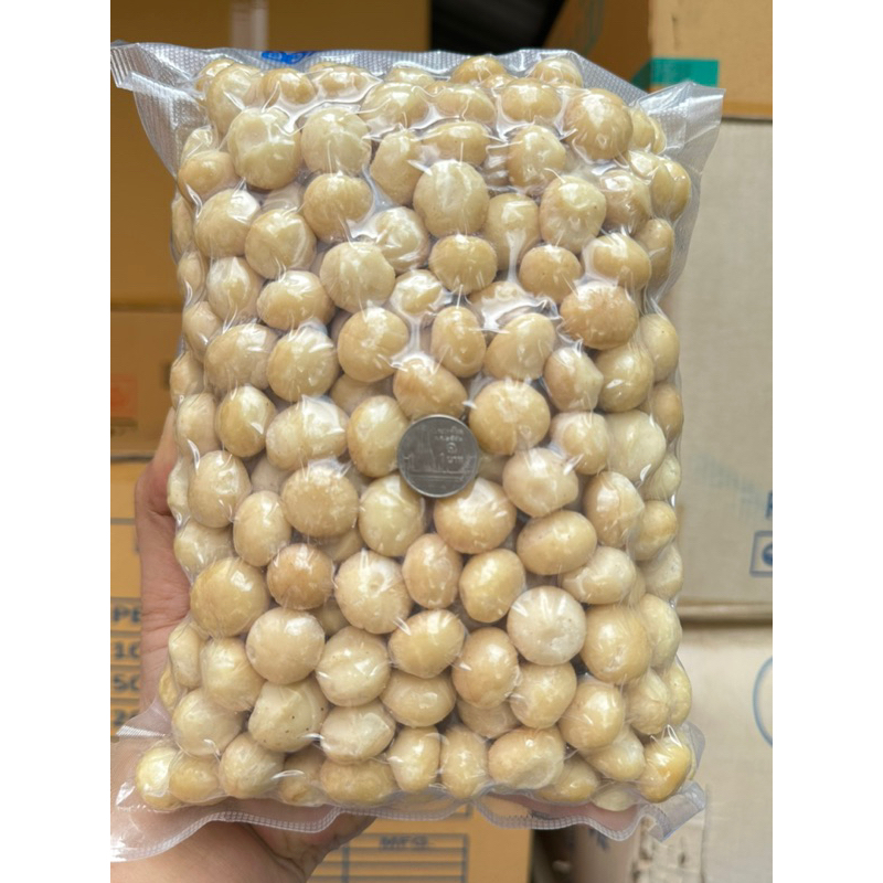 แมคคาเดเมียเม็ดดิบขนาดกลางนอก 500g-1000g | Shopee Thailand